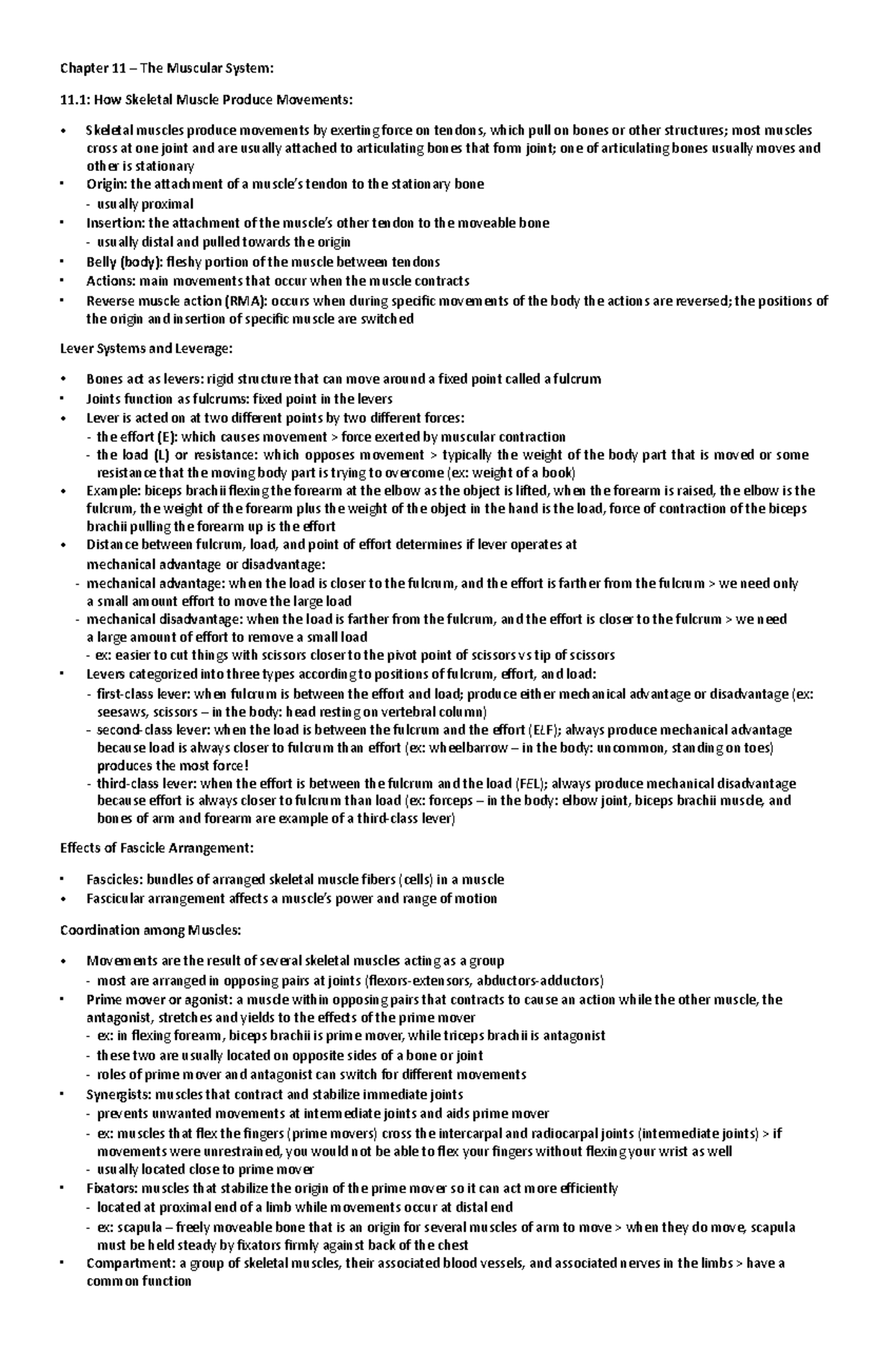 Chapter 11 the muscular system - Chapter 11 – The Muscular System: 11 ...