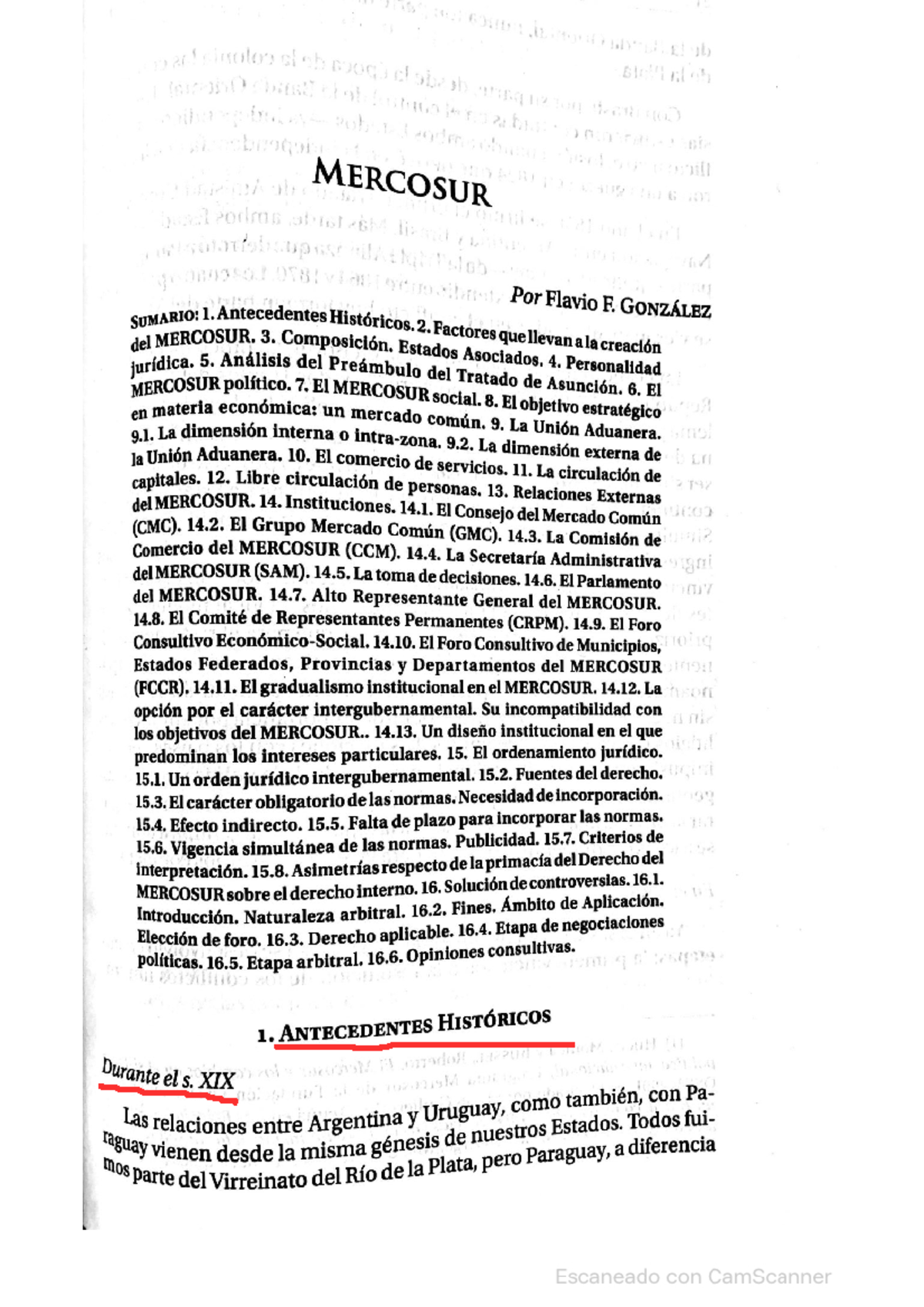 Antecedentes Mercosur - Derecho de la Integración - Studocu