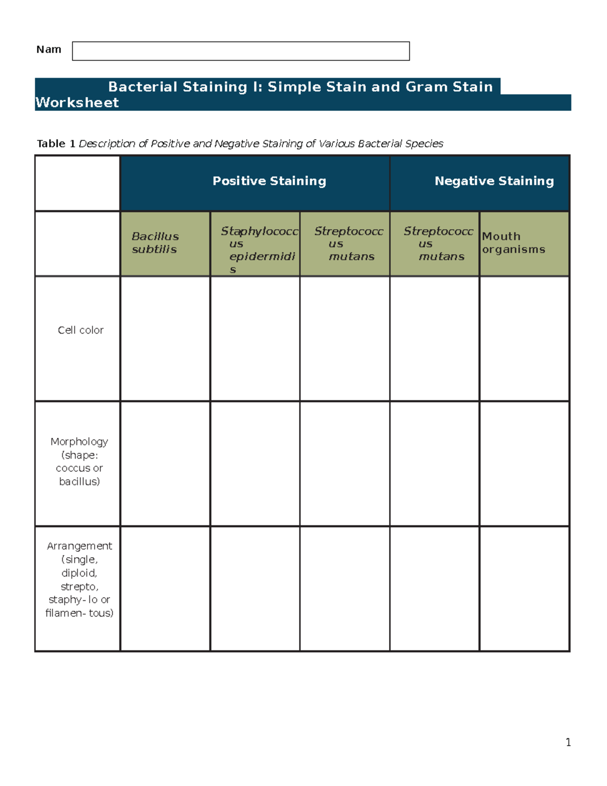 Bacterial Staining I Wrksht - Bacterial Staining I: Simple Stain and ...