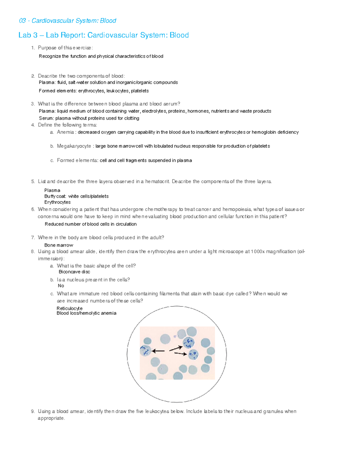 03 Cardiovascular System Blood Lab 3 Lab Report Cardiovascular System Blood 1 - 03 ...