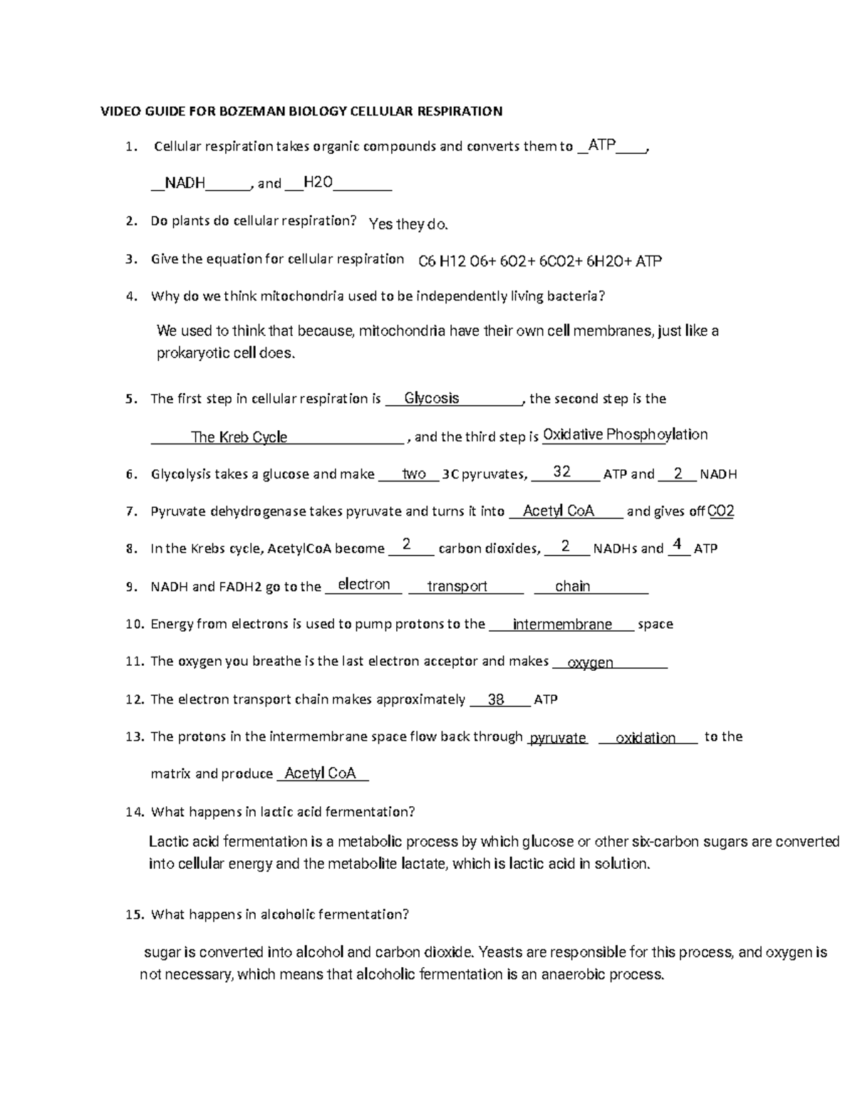 Kami Export - Grace Nderitu - Video Guide FOR Bozeman Biology Cellular ...