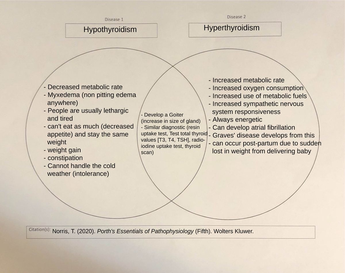 Patho Venn Diagram - Disease 2 Disease 1 Hypothyroidism Hyperthyroidism ...