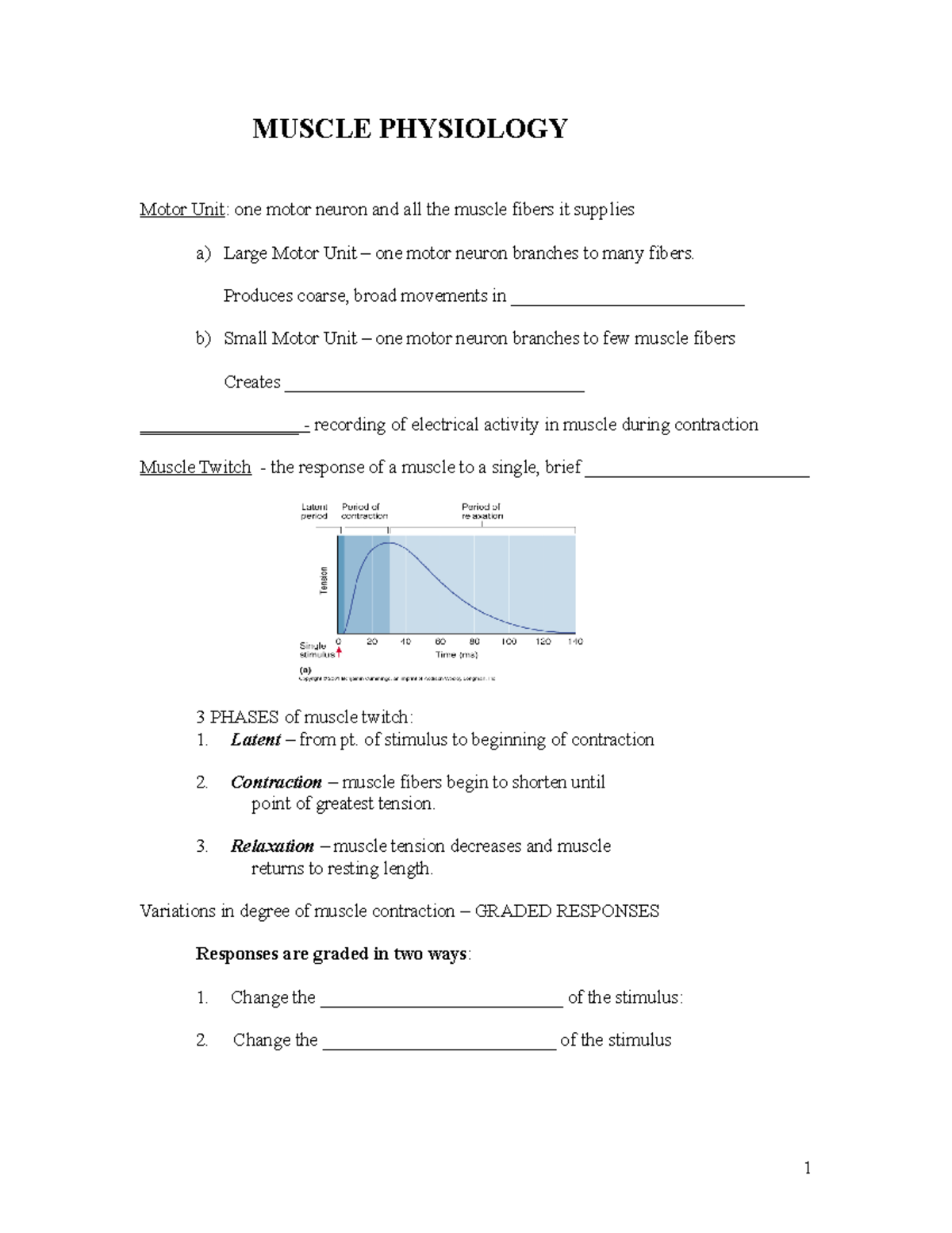 #7 - Muscle phys outline - MUSCLE PHYSIOLOGY Motor Unit: one motor ...