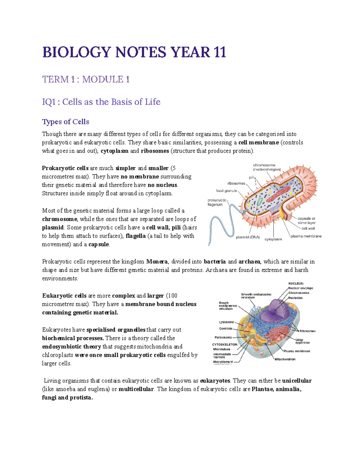 Bio Notes (YR11) - BIOLOGY NOTES YEAR 11 TERM 1 : MODULE 1 IQ1 : Cells ...