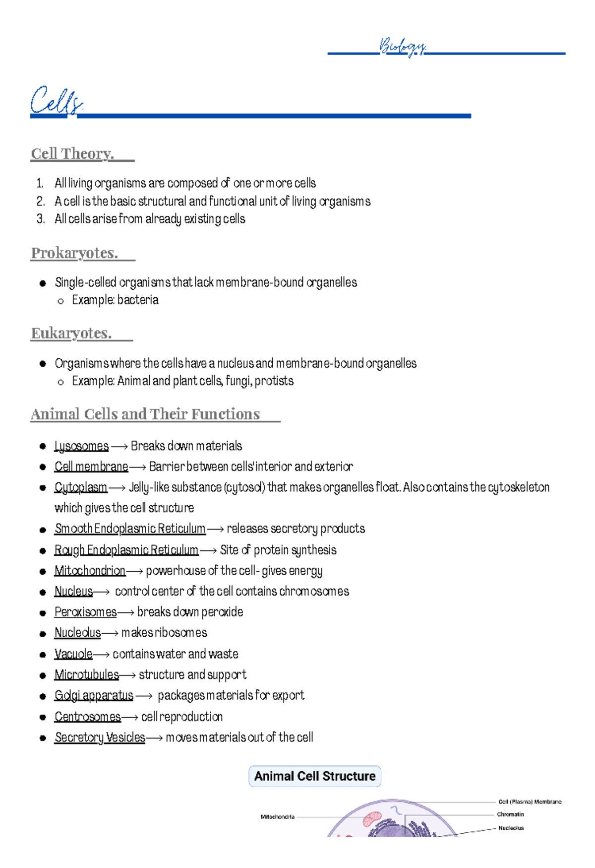 Cells - Biology. Ces. Cell Theory. Prokaryotes. Eukaryotes. Animal ...