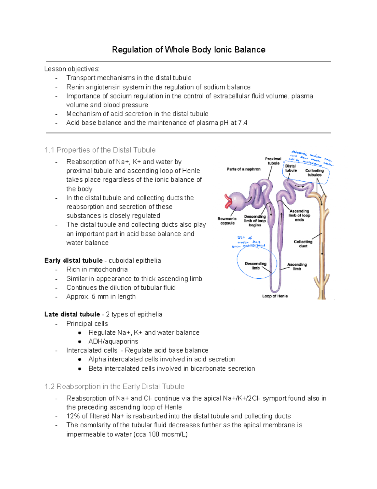 Regulation of Whole Body Ionic Balance PHOL0001 - Regulation of Whole ...