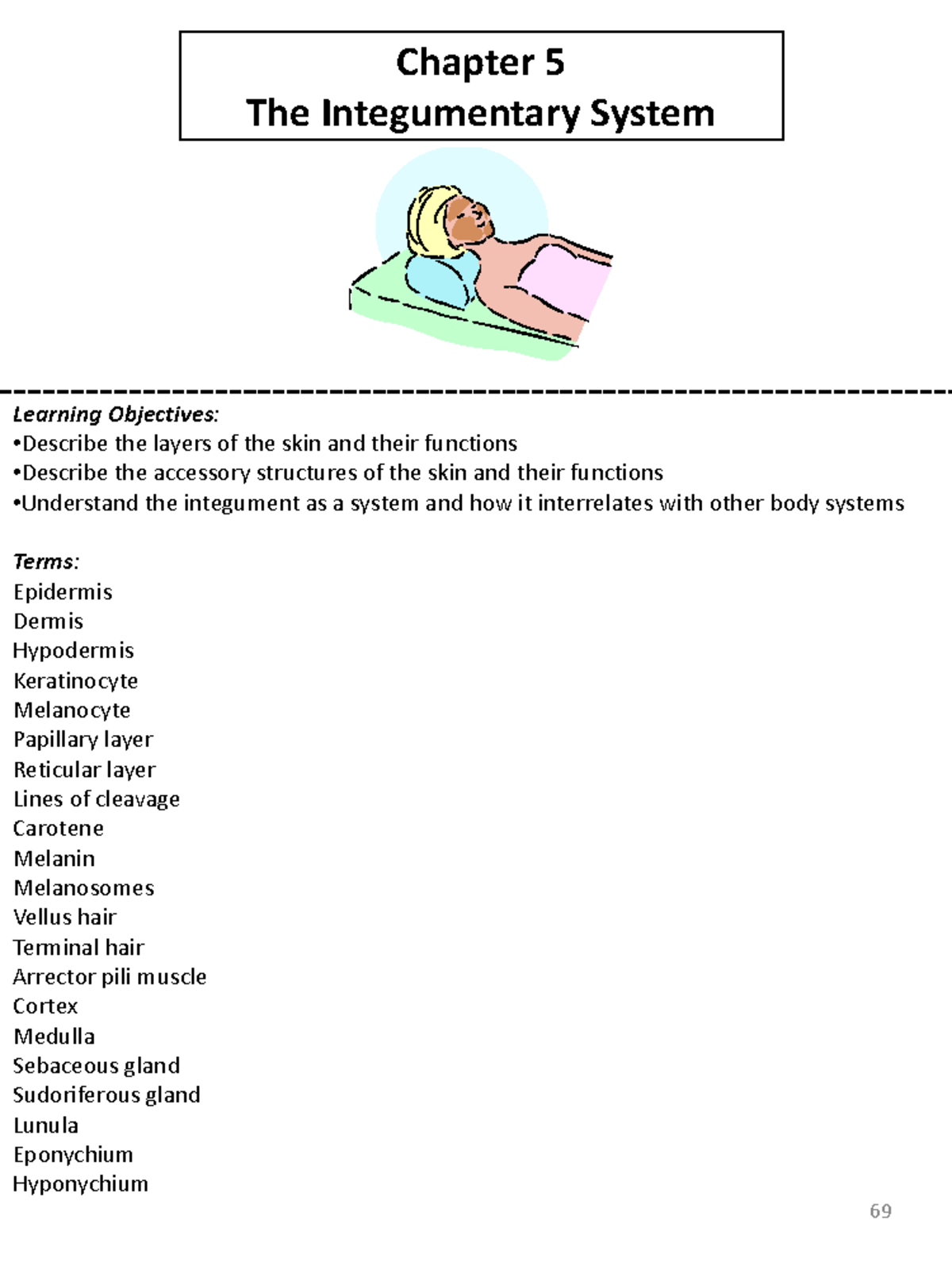 Chapter 5 - Dr.coleman - Chapter 5 The Integumentary System Learning ...