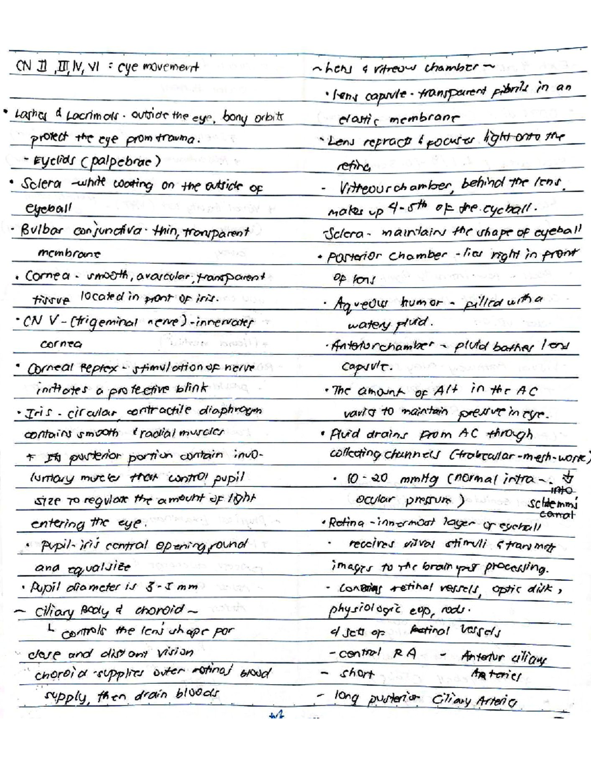 MS-EYES - MedSurg Eyes - CN II IV, VI : cye movement Lens G vitreow ...
