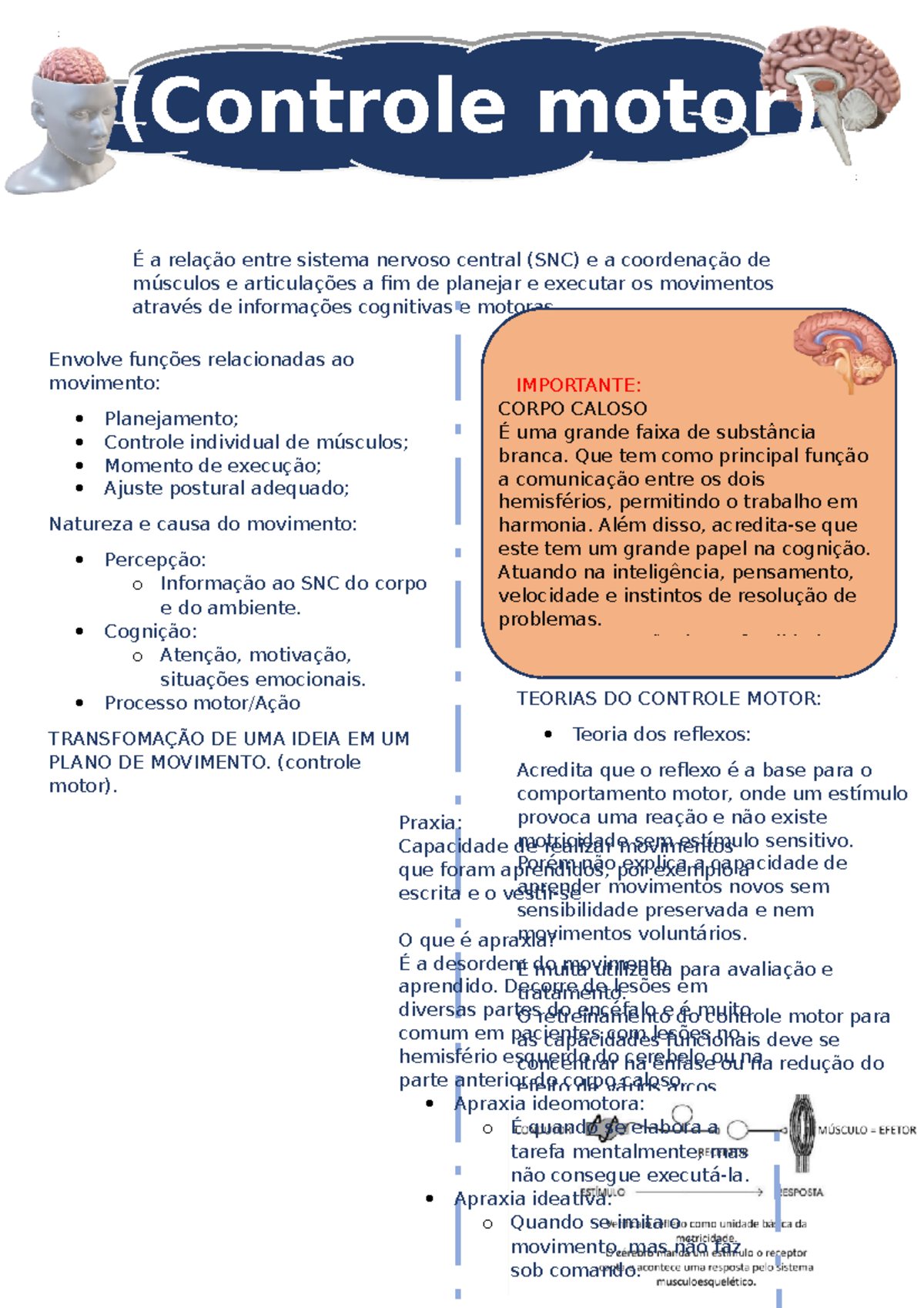 Controle Motor - Pocketbook of Neurological Physiotherapy - É a relação ...