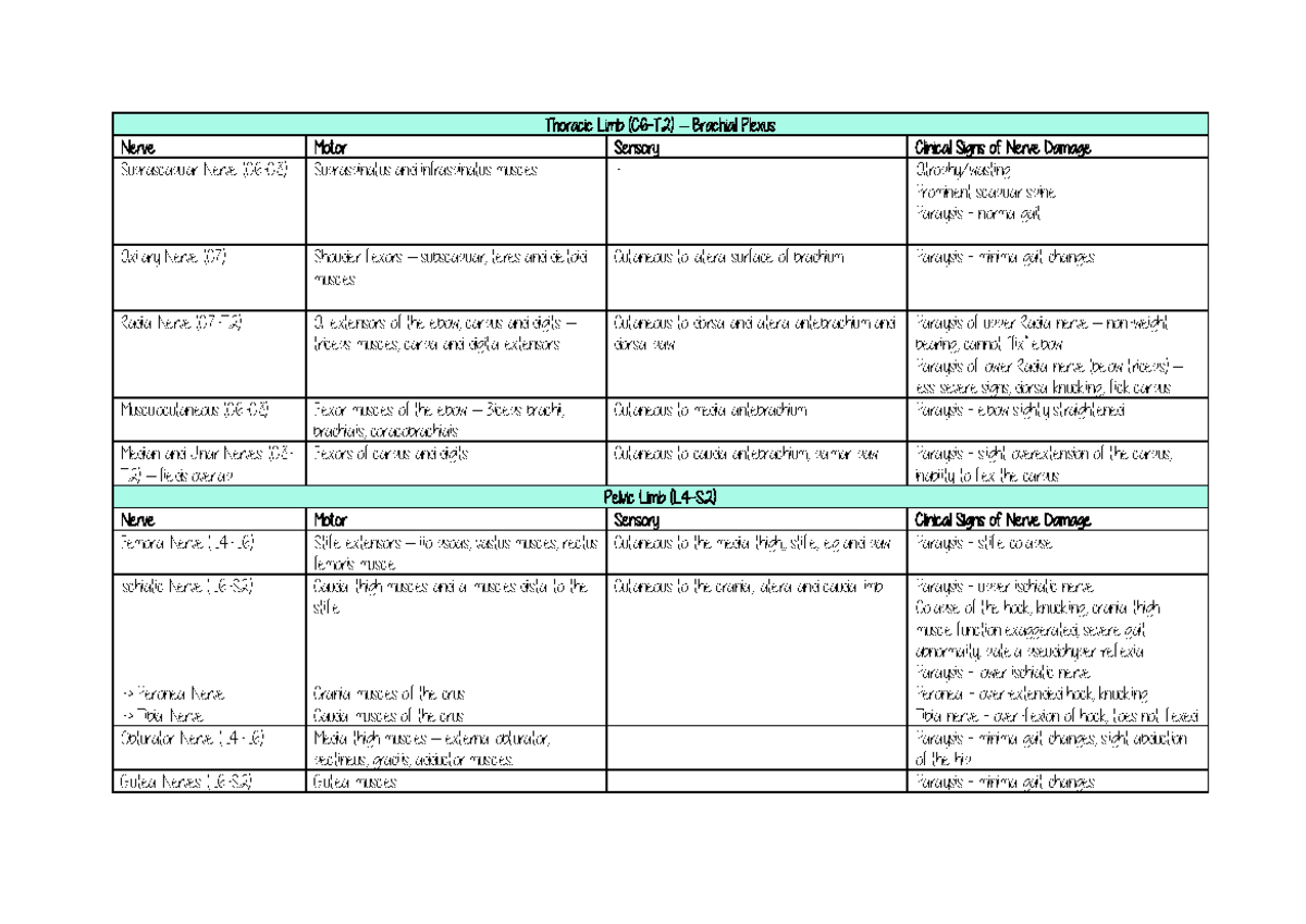 Peripheral Nerve Table Summary - Thoracic Limb (C6-T2) – Brachial ...