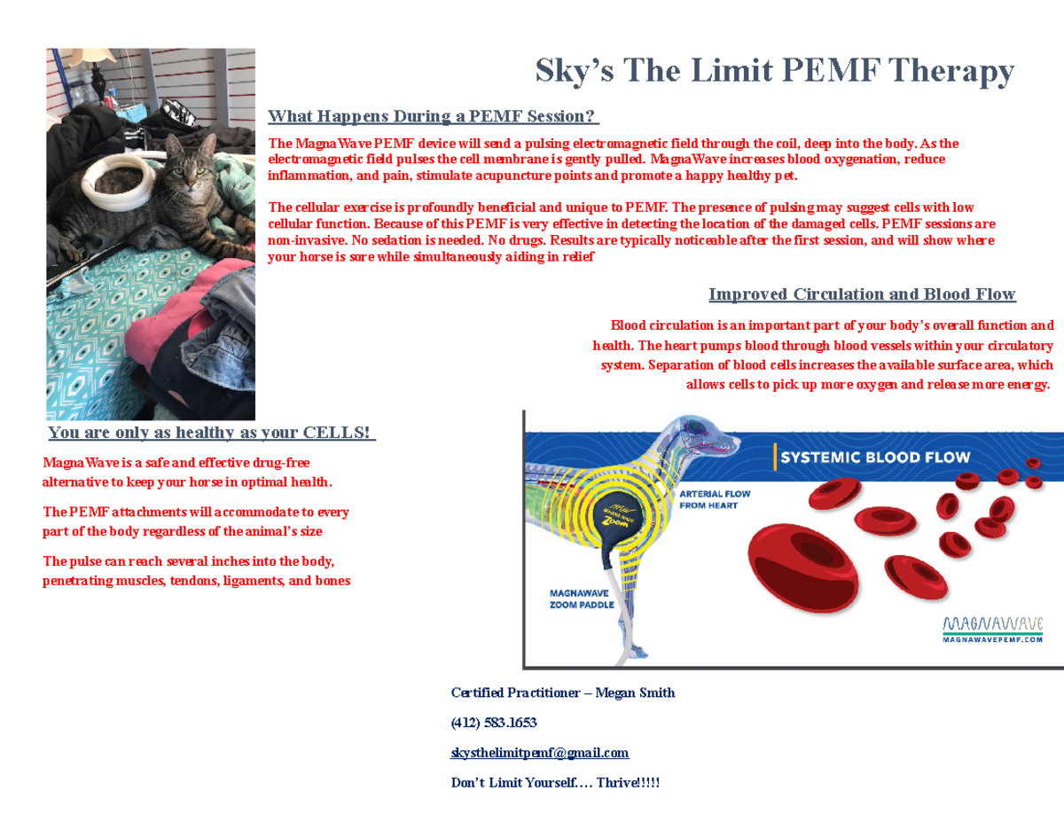 Practice Materials - Flyers - Sky’s The Limit PEMF Therapy What Happens ...