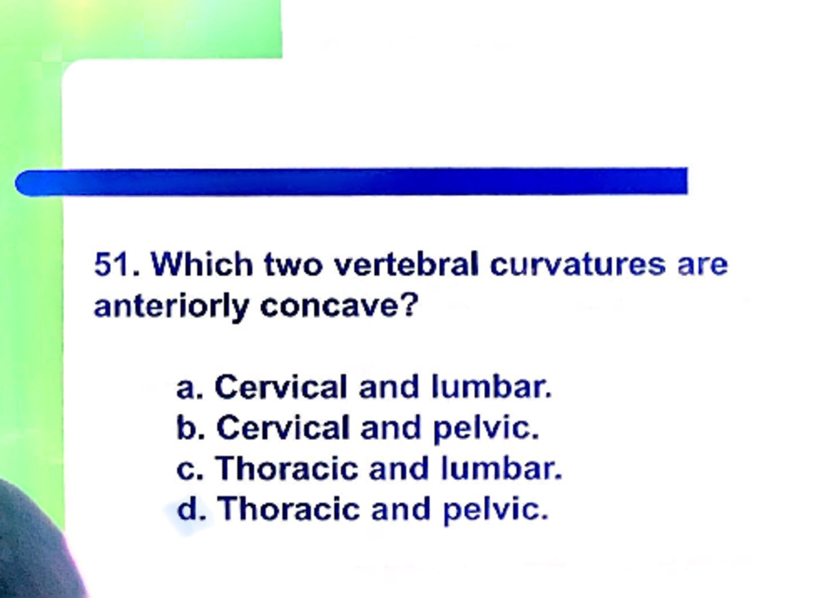 EXAM 3 Vertebral Column - 51. Which two vertebral curvatures are ...