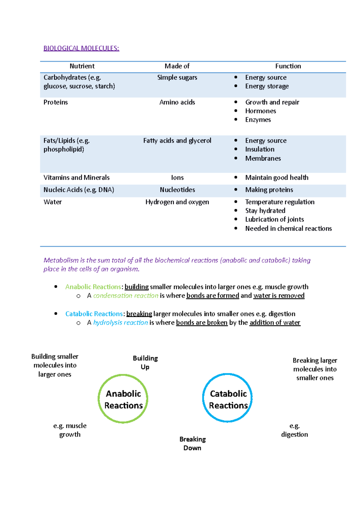 Biological Molecules - summary - BIOLOGICAL MOLECULES: Nutrient Made of ...