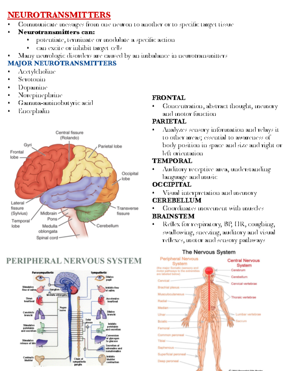 Neurological Function 2 - NEUROTRANSMITTERS • Communicate messages from ...