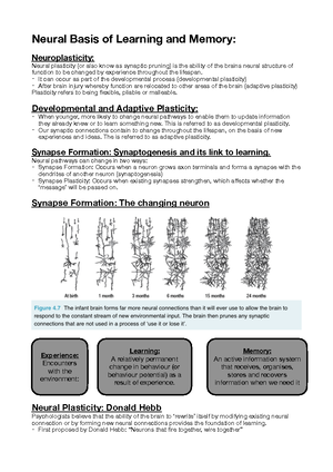 2019 prac sac - Practice sac - Unit 3 AOS 1 nervous system - Class A ...
