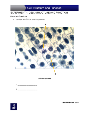 Lab7-Muscular System-Sp20 - EXPERIMENT 1: THE NEUROMUSCULAR JUNCTION ...
