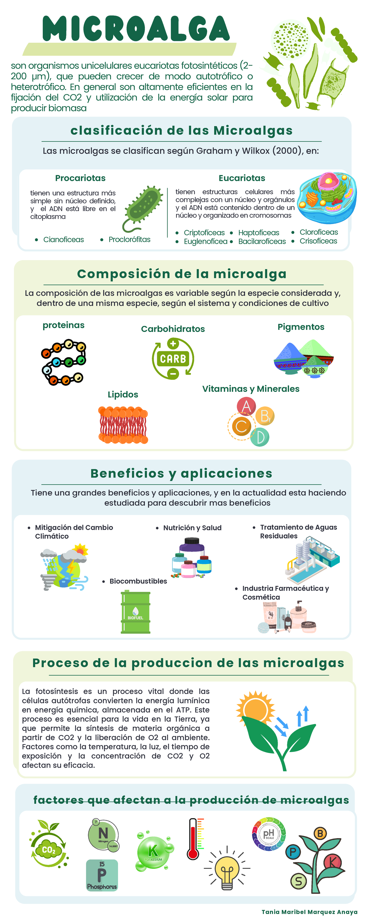 Infografía de microalga - Microalga Beneficios y aplicaciones Tiene una ...