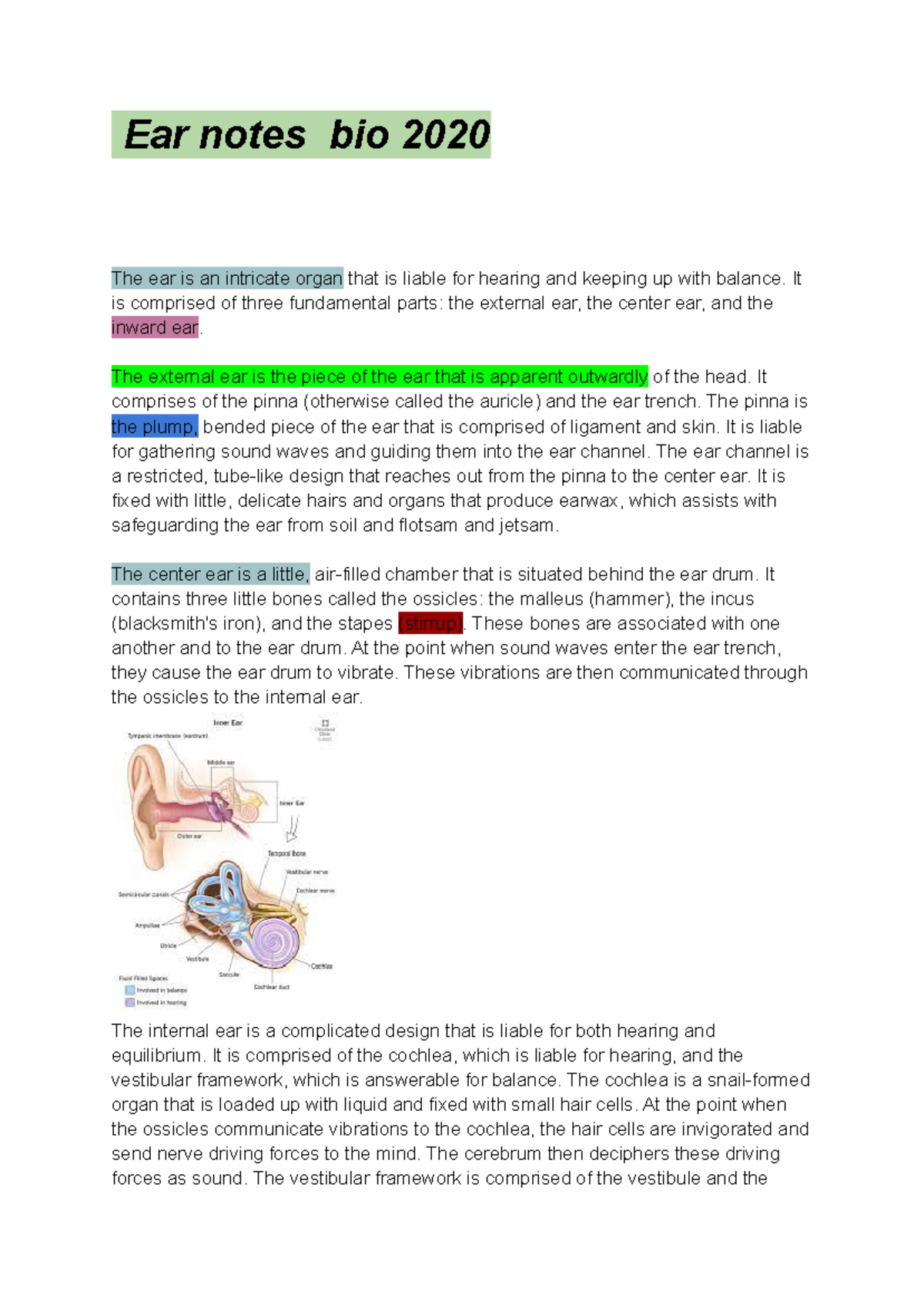Ear - Ear bio note from teacher class AMIR - Ear notes bio 2020 The ear ...