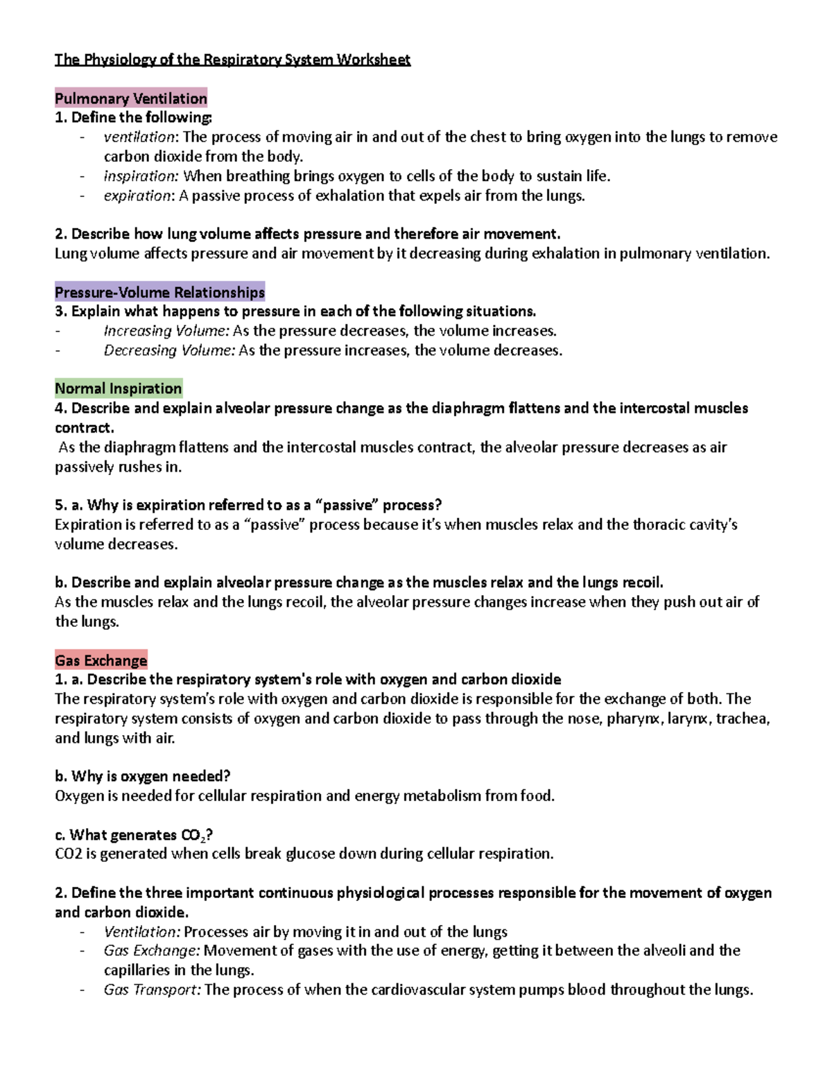 The Physiology of the Respiratory System Worksheet Katelyn Collins ...
