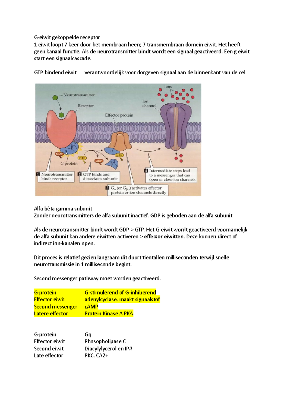 Vorm en Functie, dt2, hoorcollege 5, trage neurotransmissie - G-eiwit ...