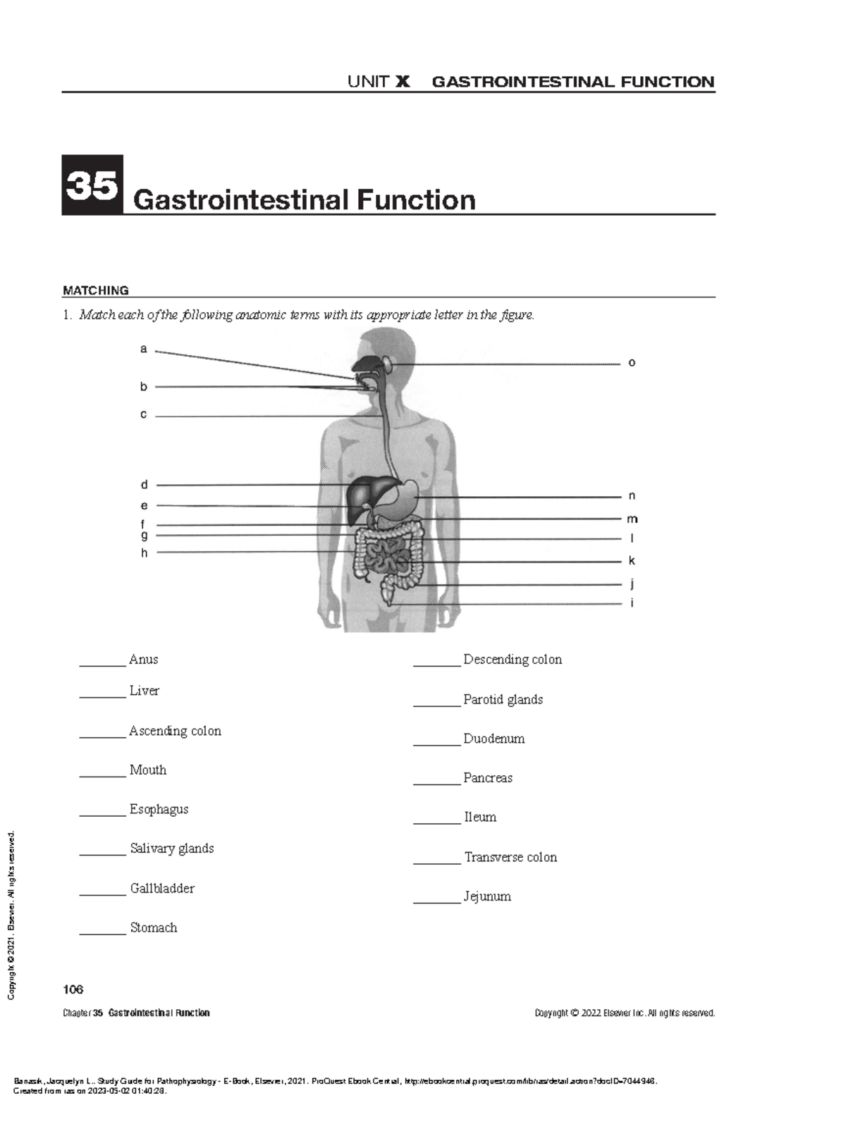 Study Guide for Pathophysiology - Copyright © 2022 Elsevier Inc. All ...