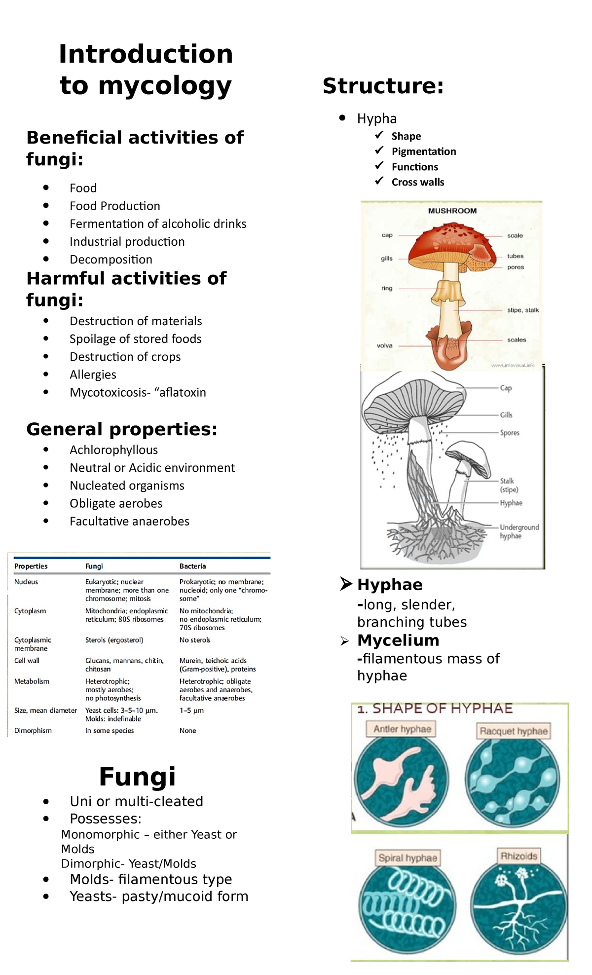 Lecture no. 1 Introduction to mycology - Introduction to mycology ...