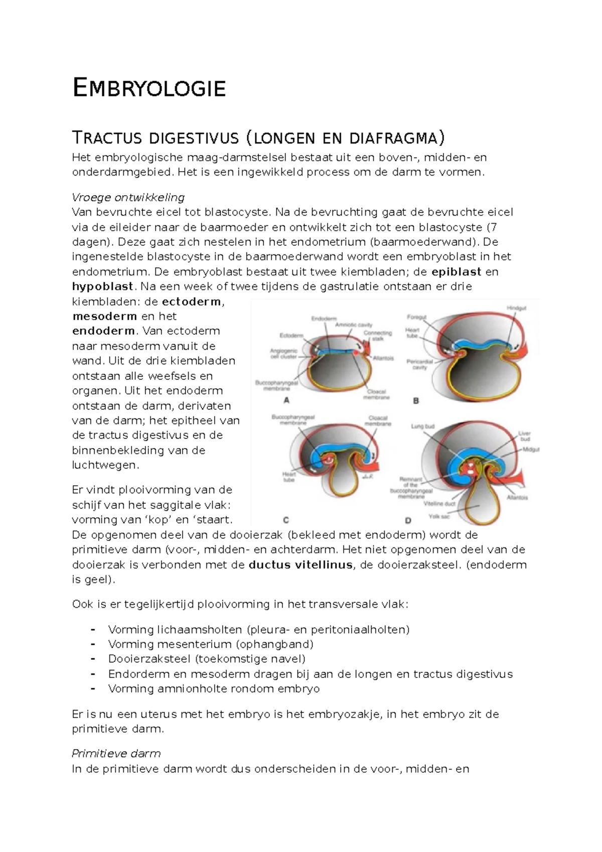 Embryologie - EMBRYOLOGIE TRACTUS DIGESTIVUS (LONGEN EN DIAFRAGMA) Het ...