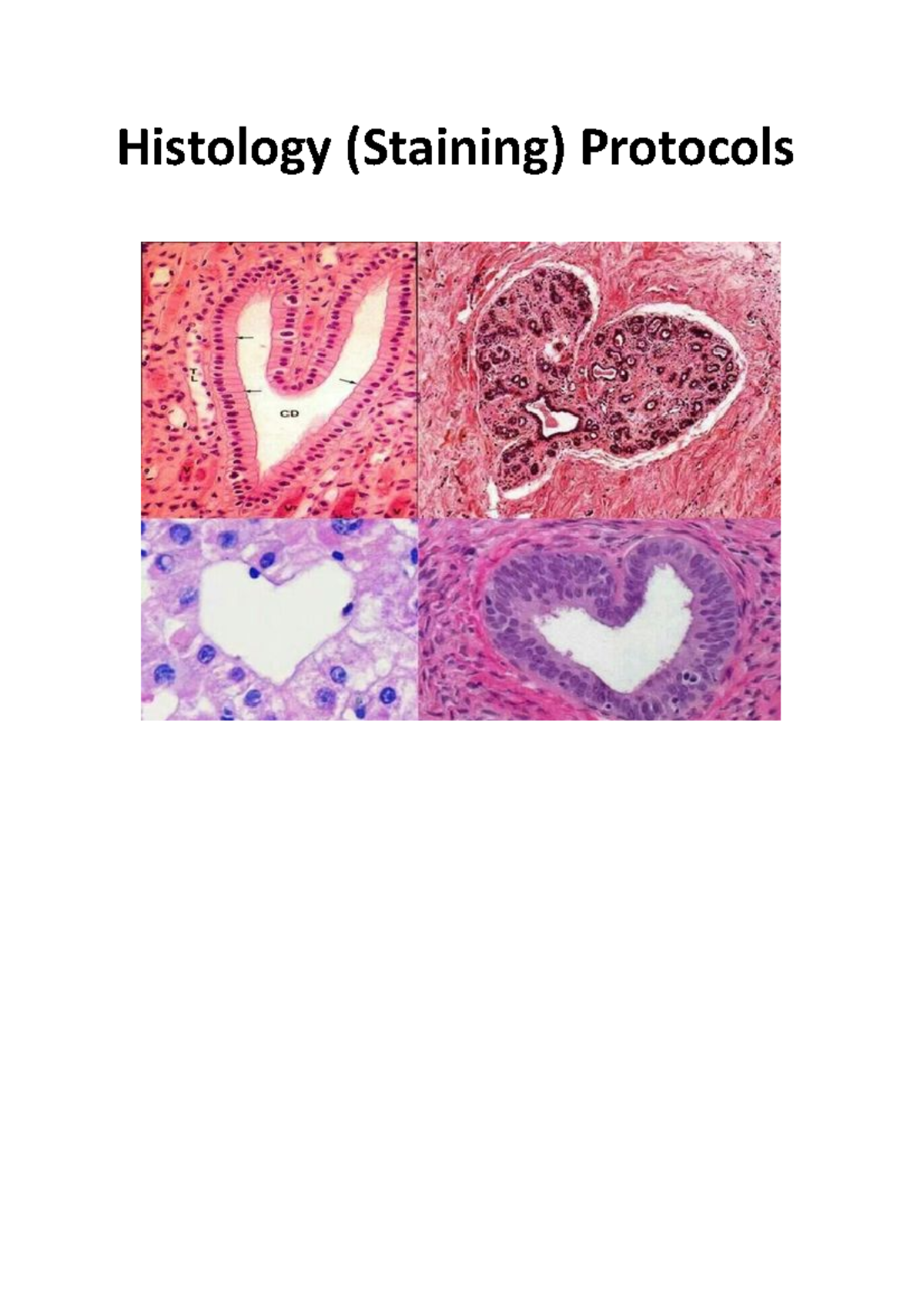 Staining Protocols - Protocollen - Histology (Staining) Protocols ...