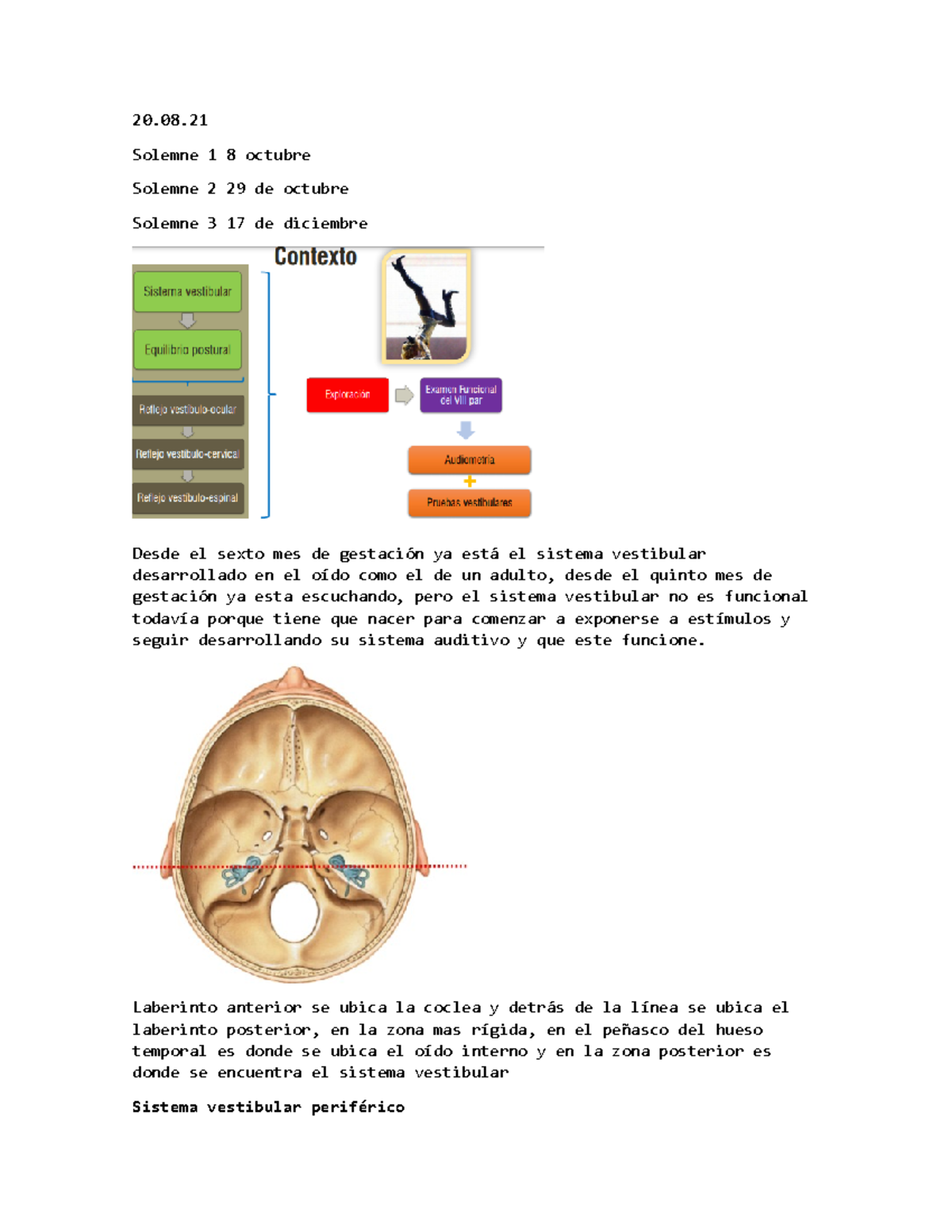 Unidad 1 - dfvdf - 20. Solemne 1 8 octubre Solemne 2 29 de octubre ...