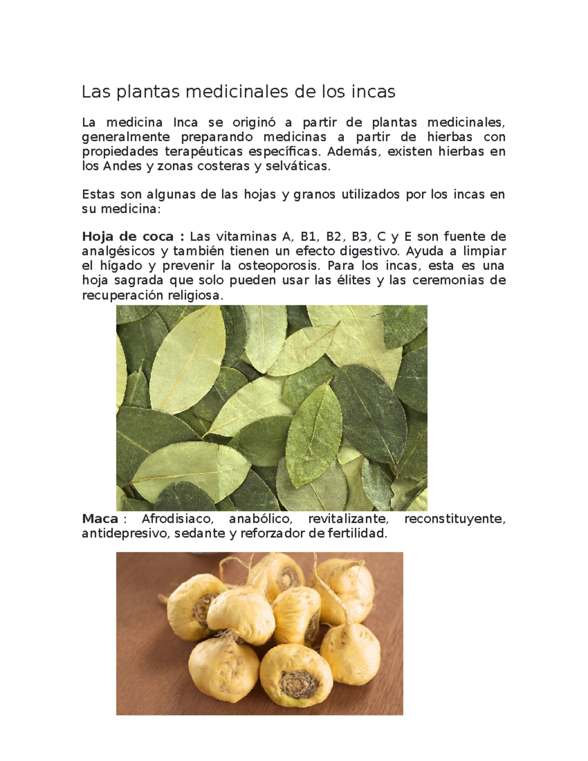 Las plantas medicinales de los incas - Además, existen hierbas en los ...