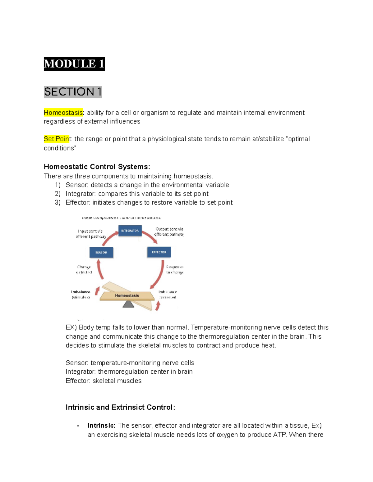 PHGY 215 - module 1 notes - MODULE 1 SECTION 1 Homeostasis: ability for ...