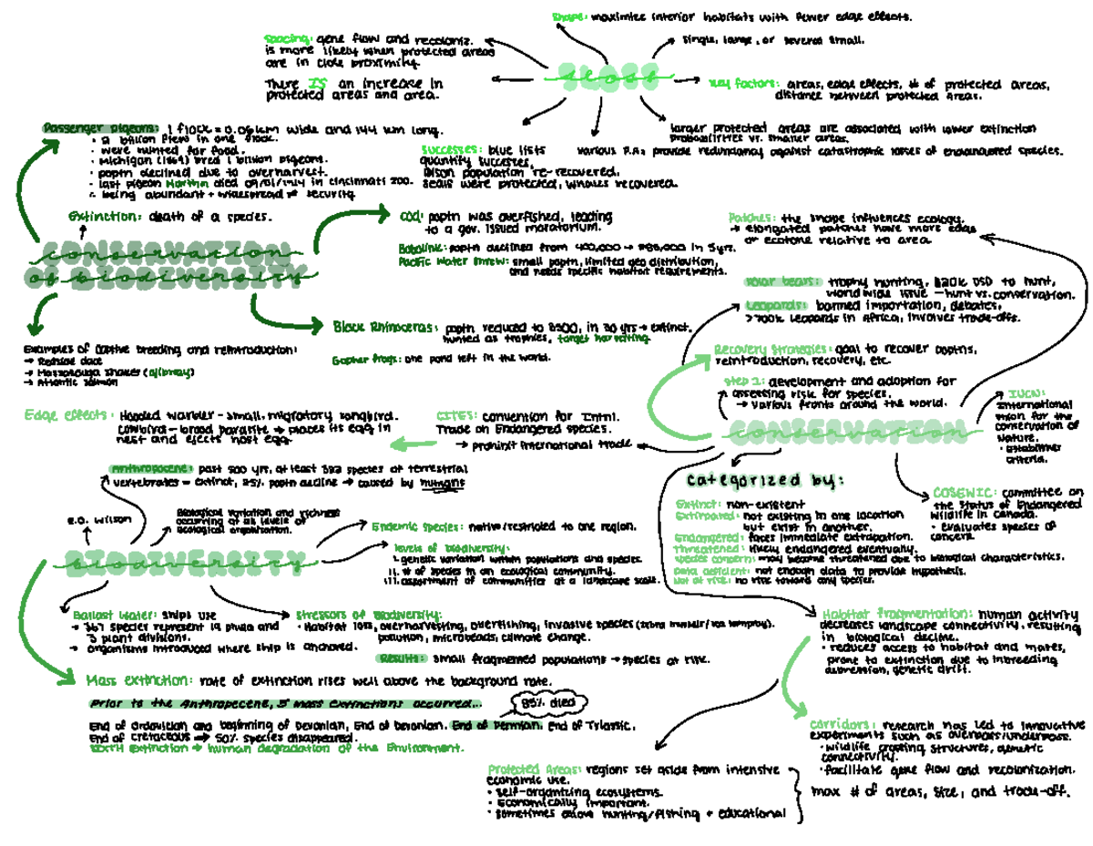 Chapter 29 pt1 mindmap - 03 55 140 - Studocu