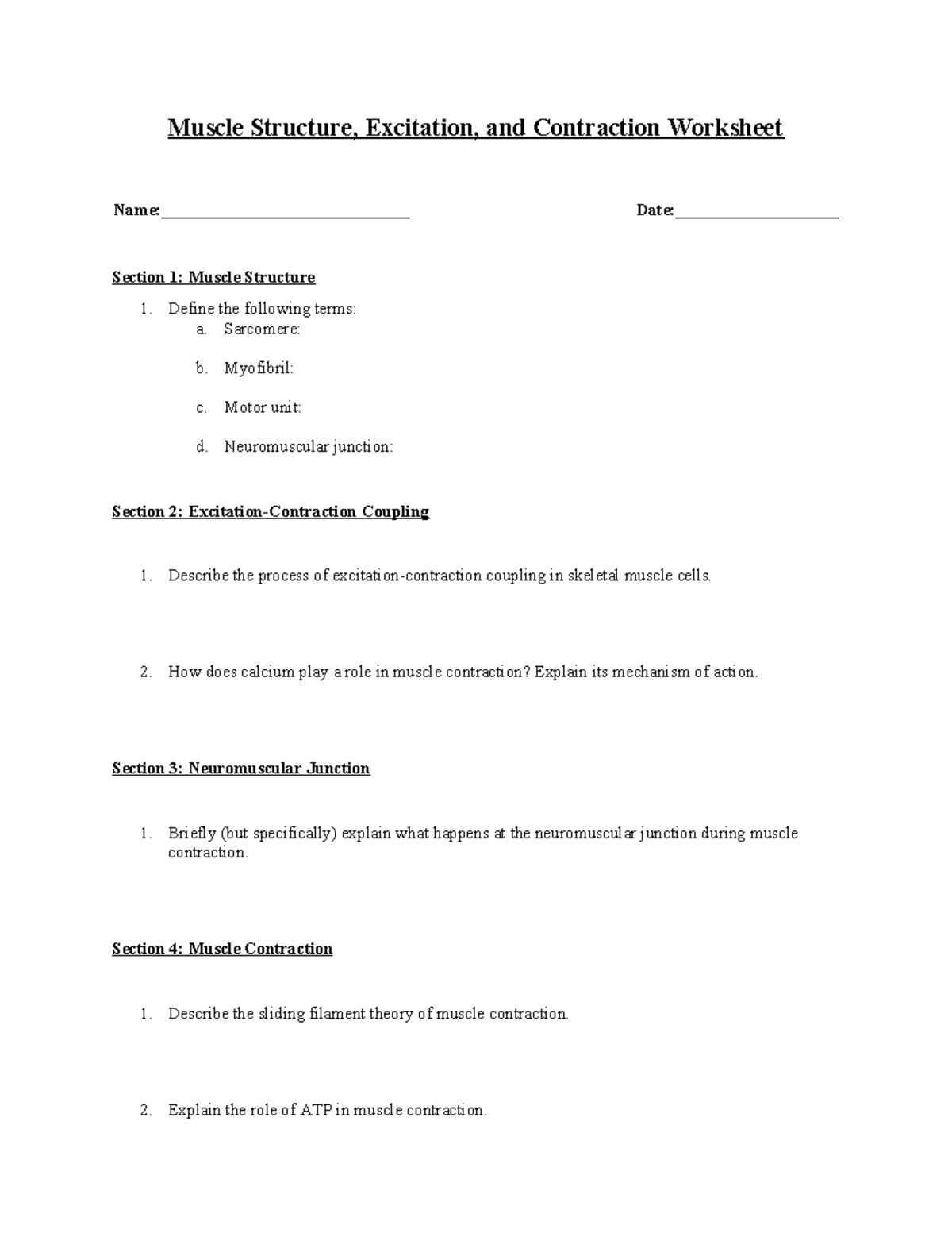 Muscle Structure and Function Worksheet - Muscle Structure, Excitation ...
