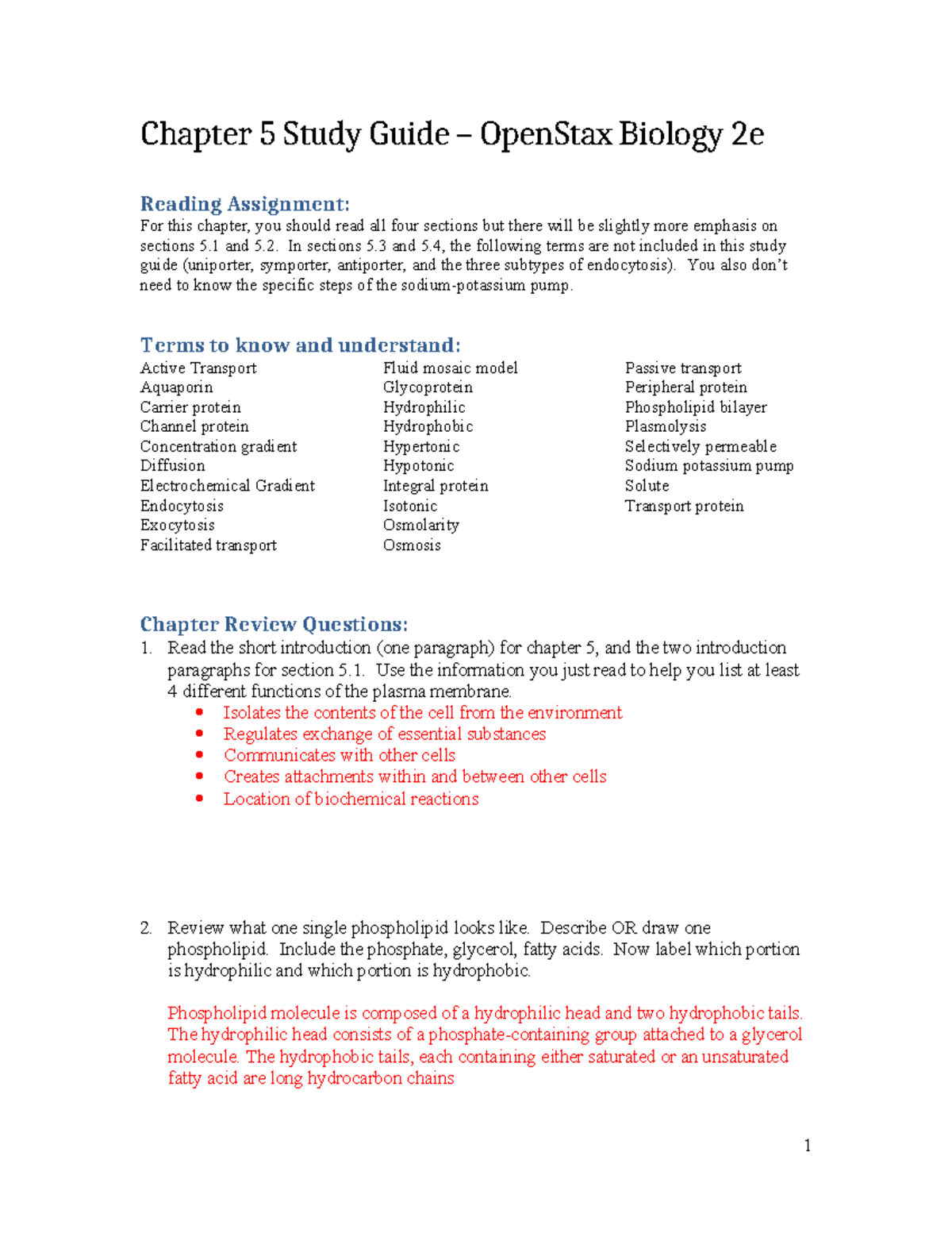 Chapter 5 Study Guide Osbiology - Chapter 5 Study Guide – OpenStax ...