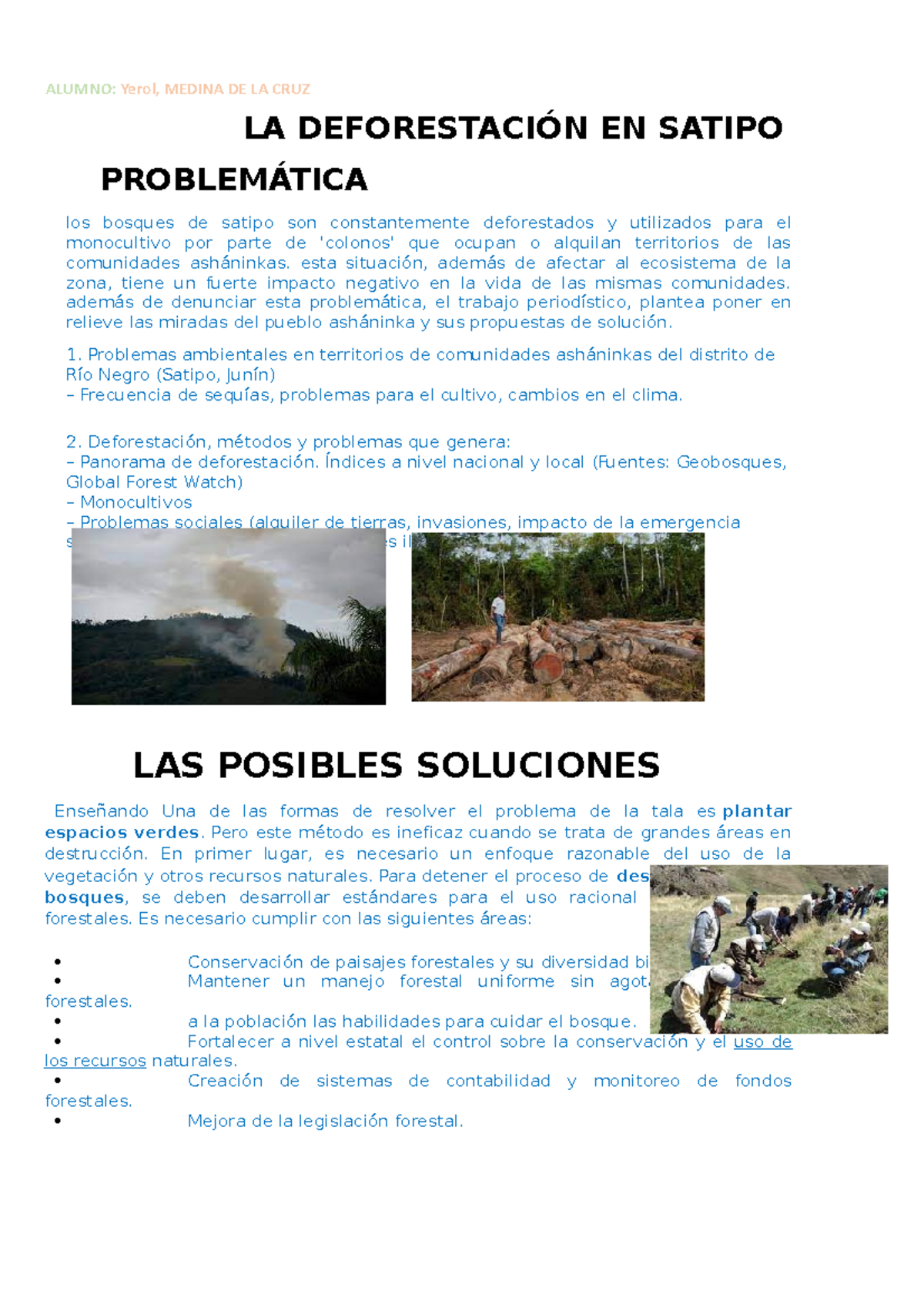 LA Deforestación EN Satipo - LA DEFORESTACIÓN EN SATIPO PROBLEMÁTICA los bosques de satipo son ...