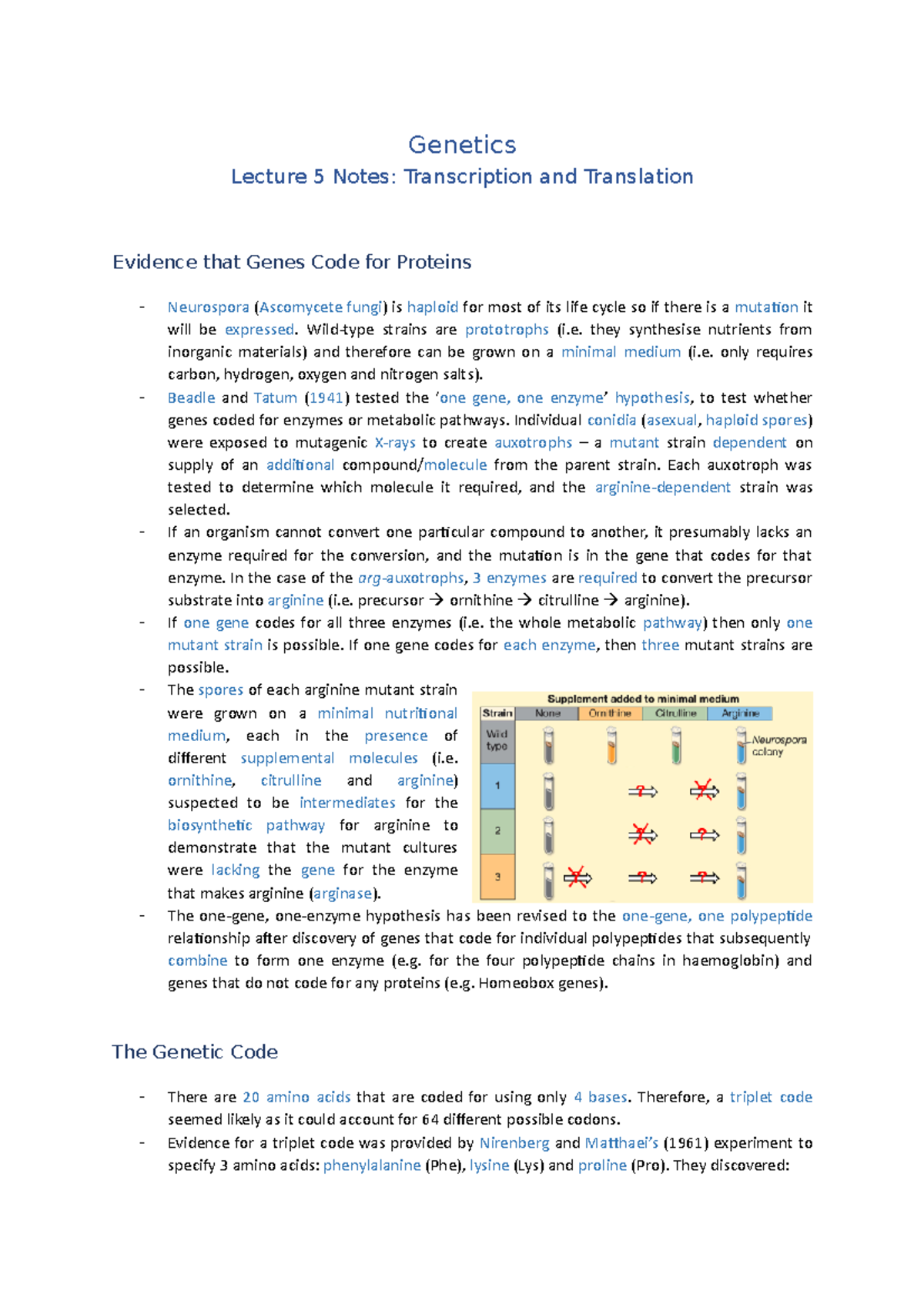 Lecture 5 Notes Transcription And Translation Genetics Lecture 5 Notes Transcription And
