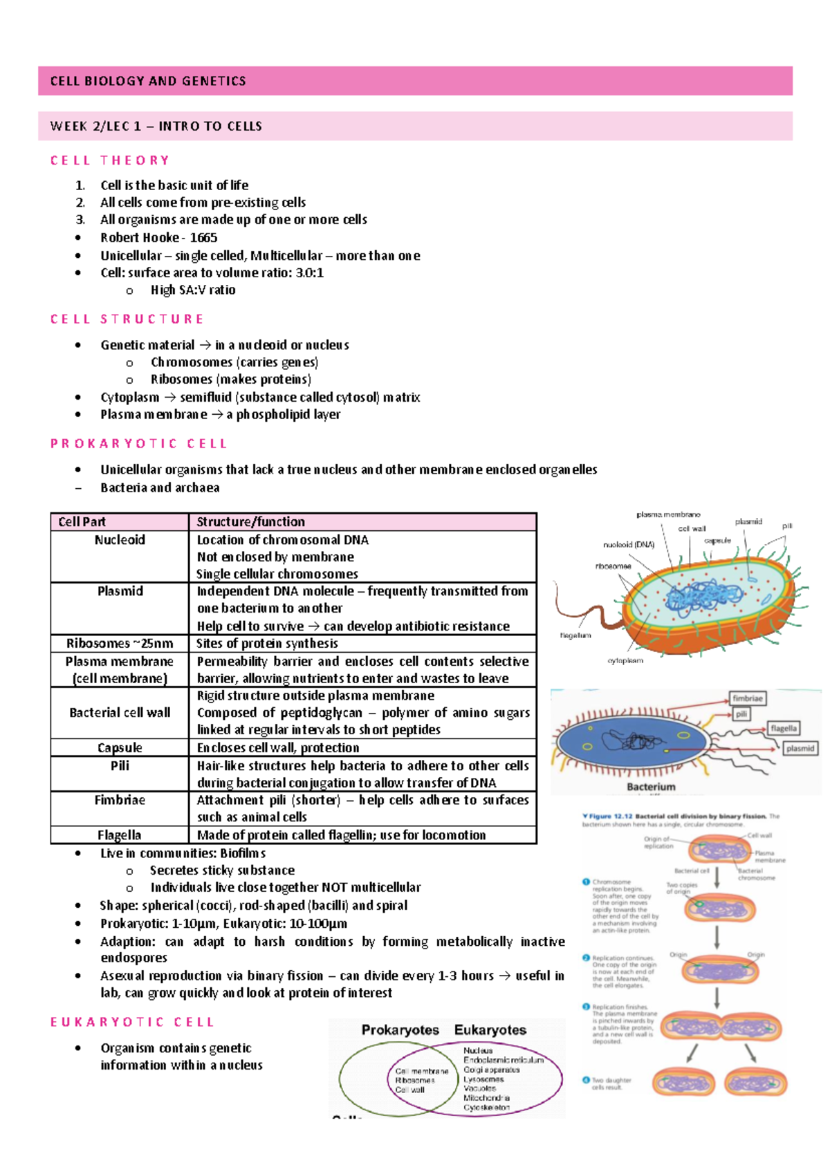 Cbg Lec1 Notes Warning Tt Undefined Function 32 Warning Tt Undefined Function 32 C E L L