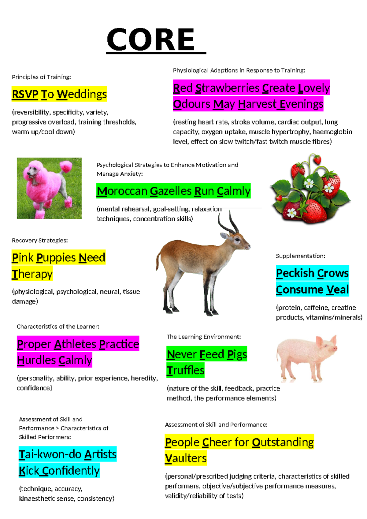 Core 2 acronyms - CORE 2: Principles of Training: RSVP To Weddings ...