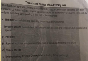 Grade 7 NS practical activity term 2 2023 - Name of Learner: - Studocu