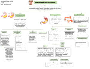GPC SX Intestino Irritable - GUÍA DE PRÁCTICA CLÍNICA GPC Diagnóstico y ...