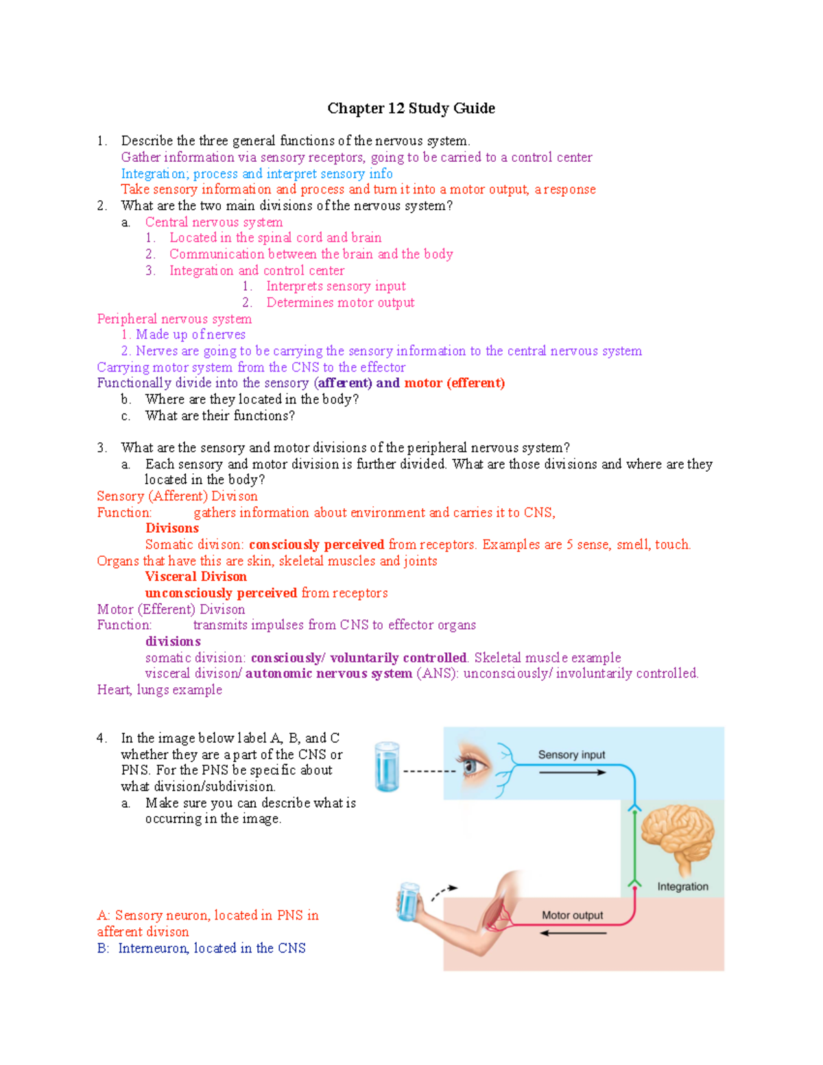 Chapter 12 Study Guide - Chapter 12 Study Guide 1. Describe the three general functions of the ...