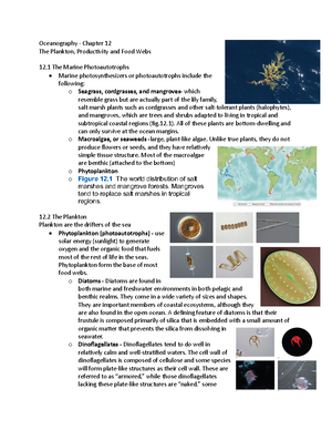 Oceanography - Chapter 4 - Oceanography Notes Unit 2 - Chapter 4 The ...