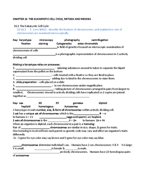 Bio chapter 4 notes - Take Notes Chapter 4 Note ORGIN OF LIFE- FOUR ...