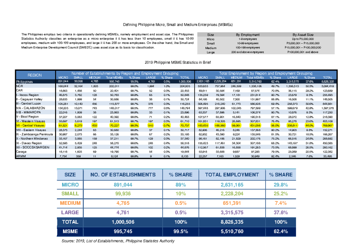 2019 +Philippine+MSME+Statistics+in+Brief - Defining Philippine Micro ...