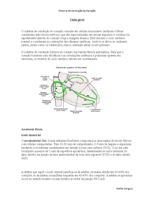 Exercícios de Farmacocinética - Nelito Sangula - UCM - Universidade ...