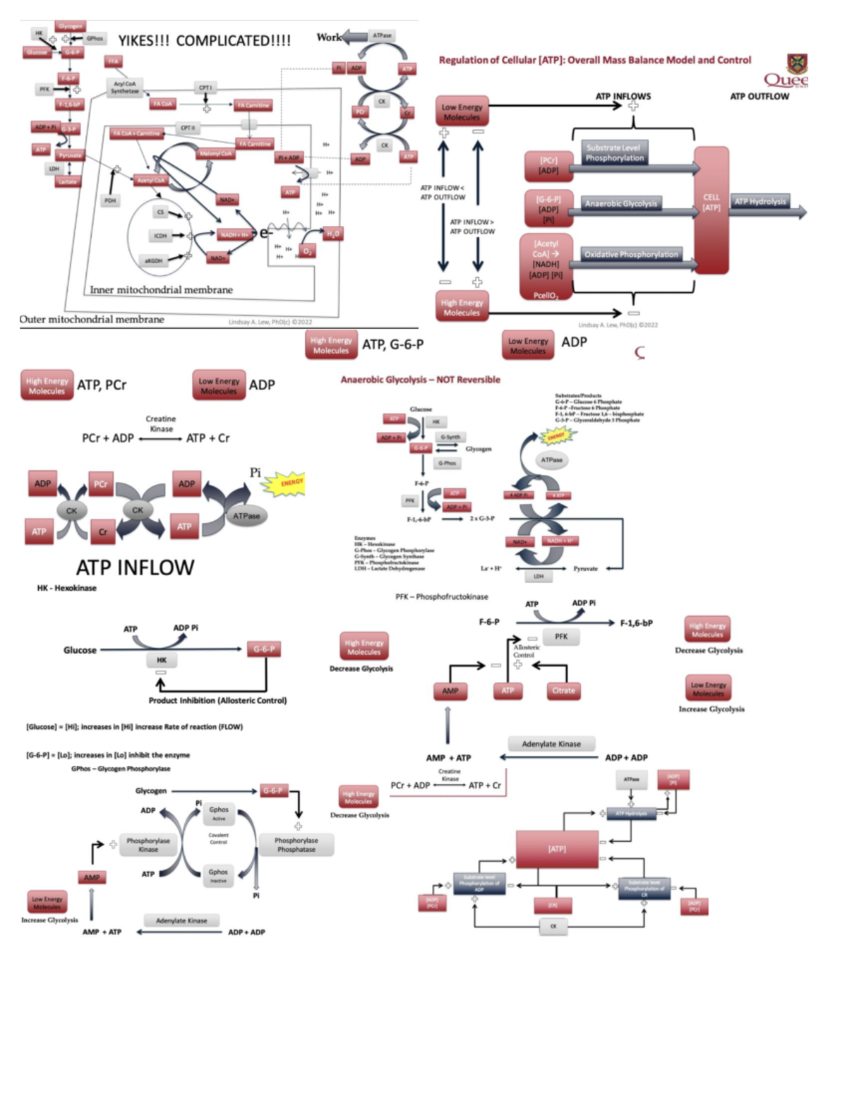 5.0 Cheat Sheet - Unit 5 - Knpe 225 - Studocu