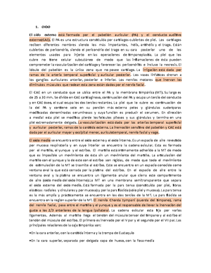 [Solved] modelo de nagi y wood - Neuroanatomia - Studocu