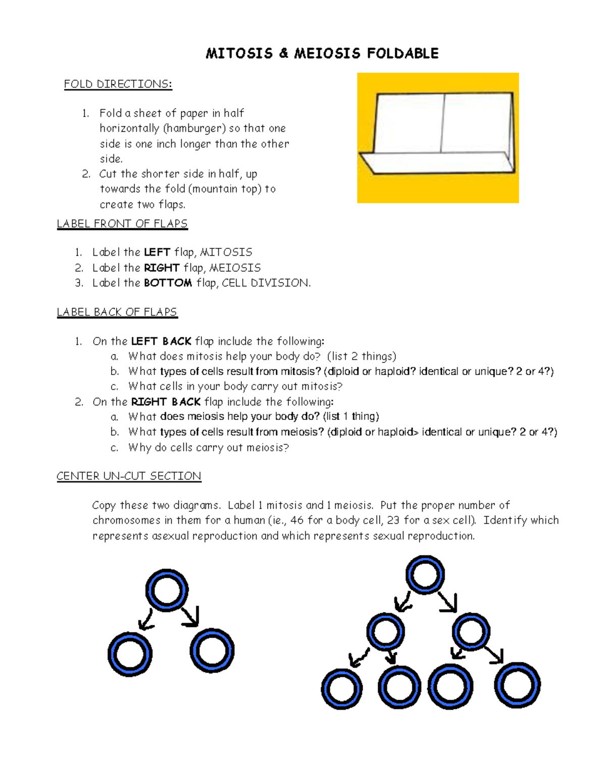 Foldable Mitosis - MITOSIS & MEIOSIS FOLDABLE FOLD DIRECTIONS: Fold a ...