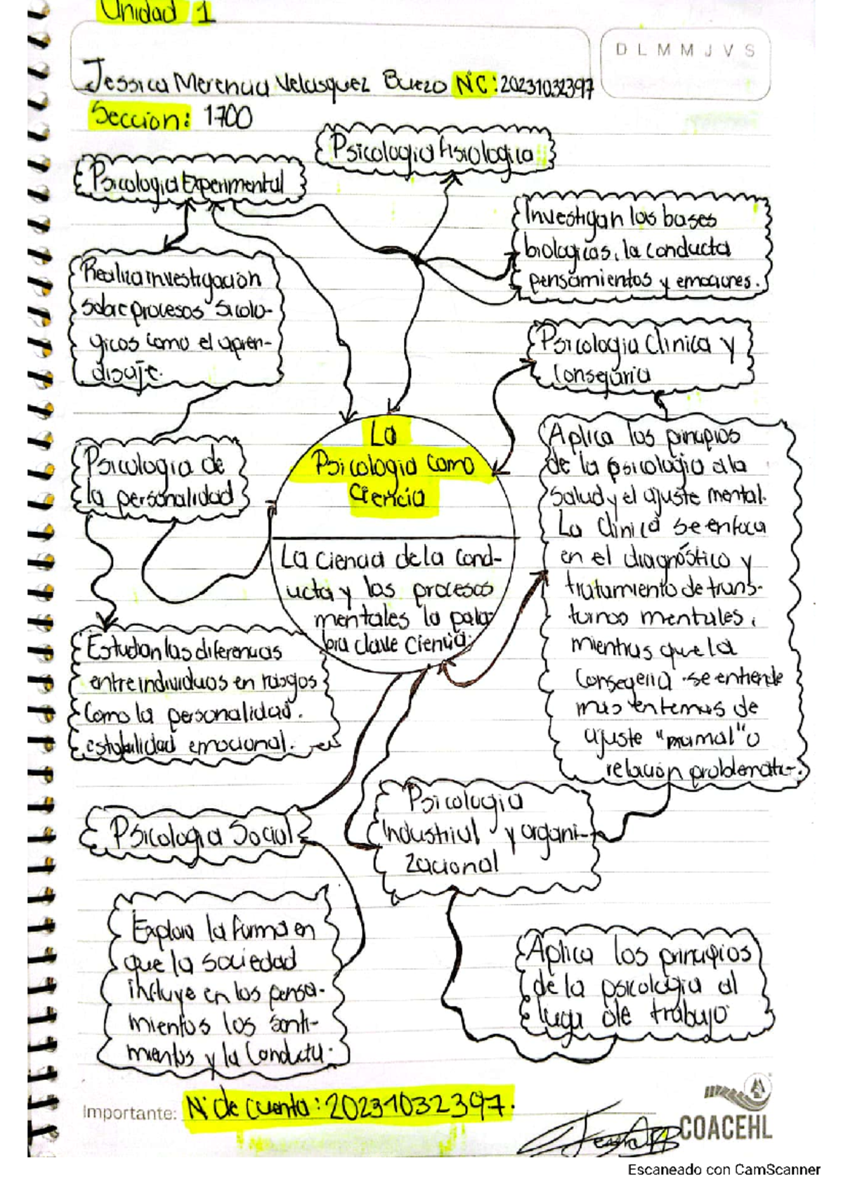 Mapas mentales - Resumen Titulo - Unidad 1 DLMMJVS Jessica Merchud Velasquez BUEZO NC ...