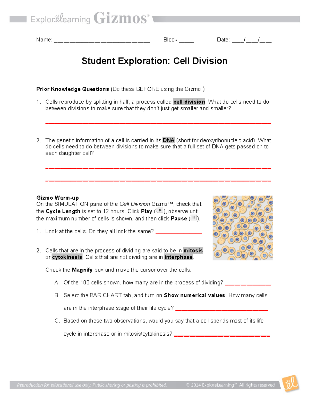 Cell Division Gizmo - hifbhwa,fguwq - Name ...